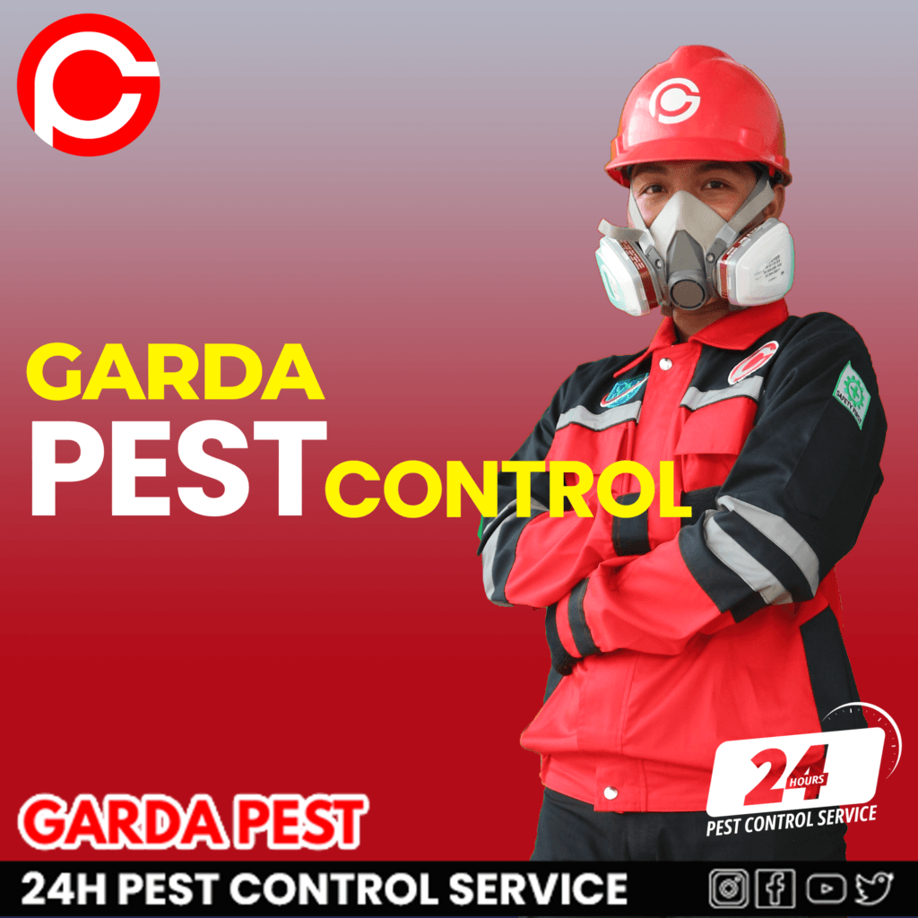 Pest Control Indonesia | 0812 8530 6700 | Layanan 24 JAM